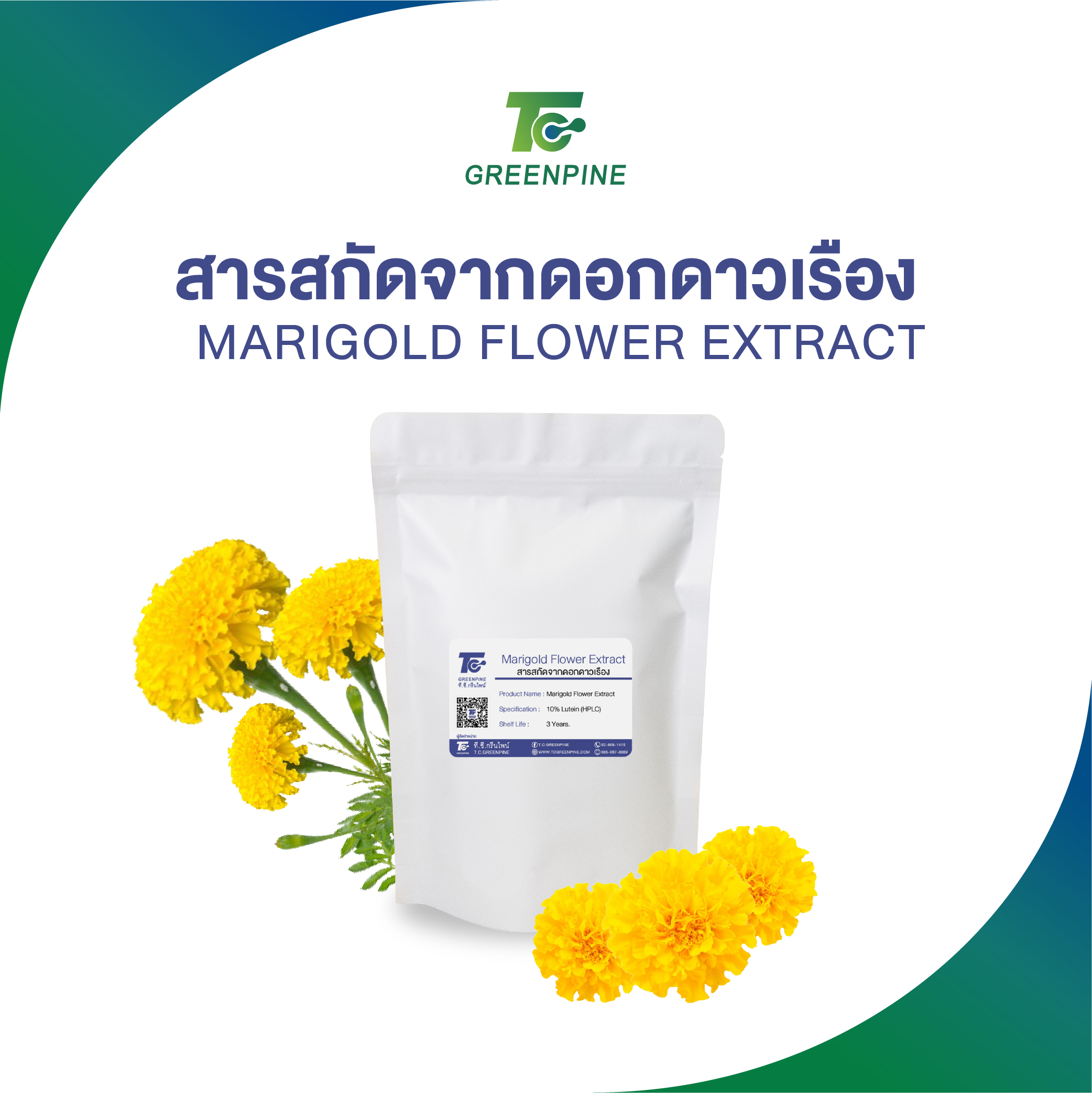 สารสกัดจากดอกดาวเรือง (Marigold Flower Extract) – T.C.Greenpine